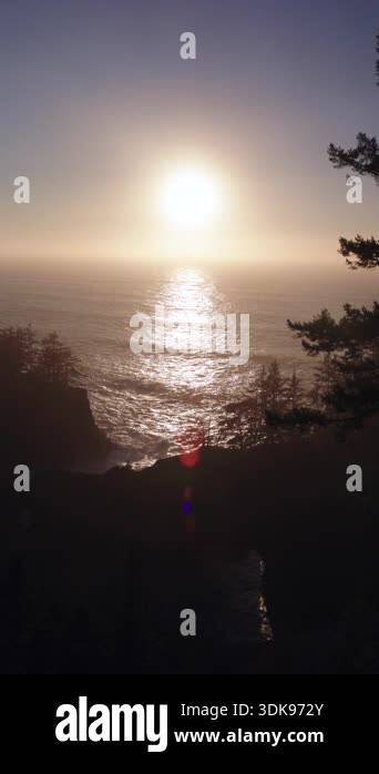 Golden sunset over ocean viewed through coastal forest trees, with soft ...