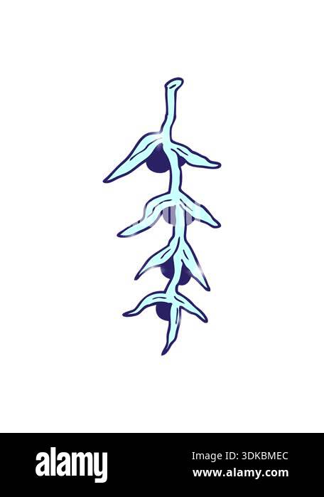 glitter effect animation of cartoon plant drawing Stock Video Footage ...