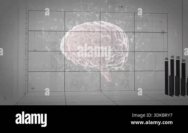 Initiating 3D brain appearing, grid forming, graphs tracing, bars ...