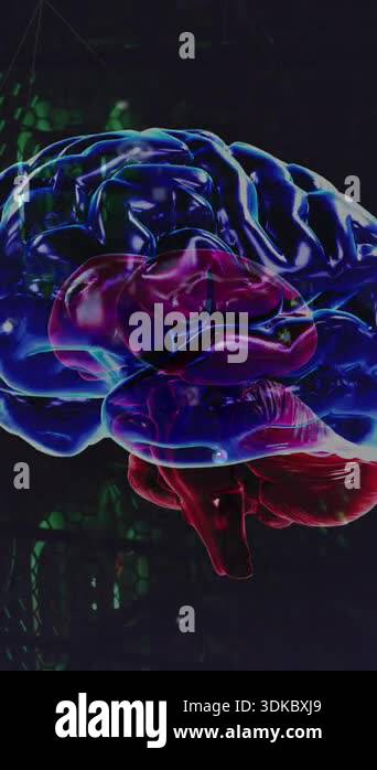 Animation of network of connections and brain over server room. Global ...