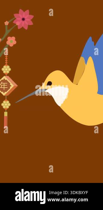 Animation of illustration of hummingbird with cherry blossom and ...
