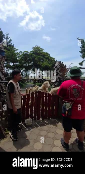 Bandung, Indonesia, January 25, 2026. Vertical video of tourists ...