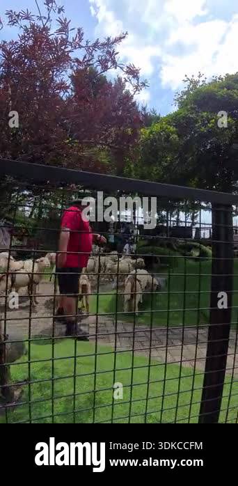 Bandung, Indonesia, January 25, 2026. Vertical video of tourists ...