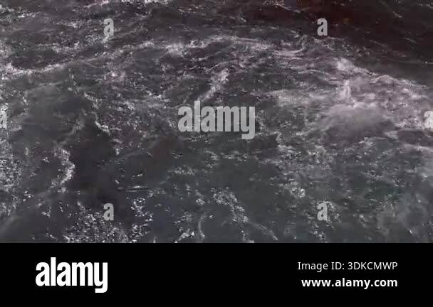 Turbulent mountain river showcases waves and whitecaps under bright ...