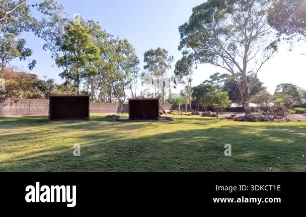 Open grassy area with trees and enclosures Stock Video Footage - Alamy