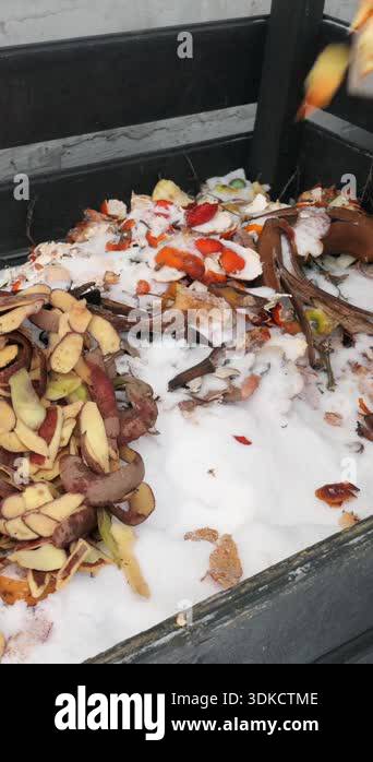 Organic Food Scraps Being Poured Into Compost Bin For Sustainable Waste ...