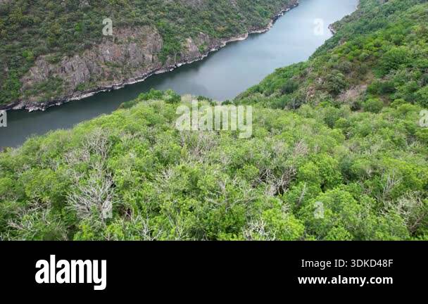Aerial view of a majestic river winding through a deep canyon with ...