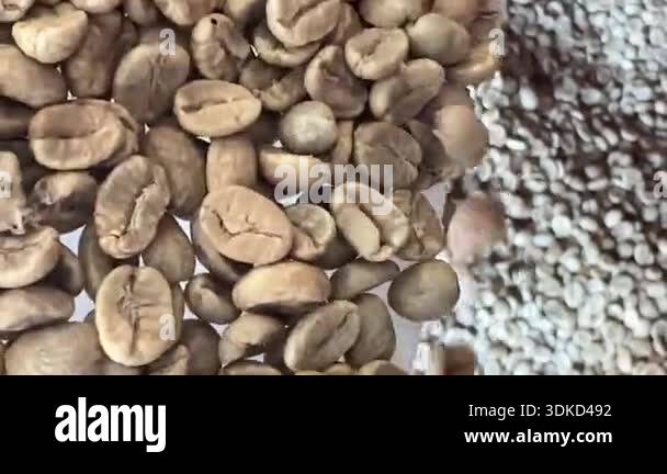 Detailed macro shot of raw dried coffee beans showing natural textures ...