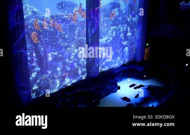 Lviv, Ukraine - January 24, 2026: Captivating view of a giant aquarium ...