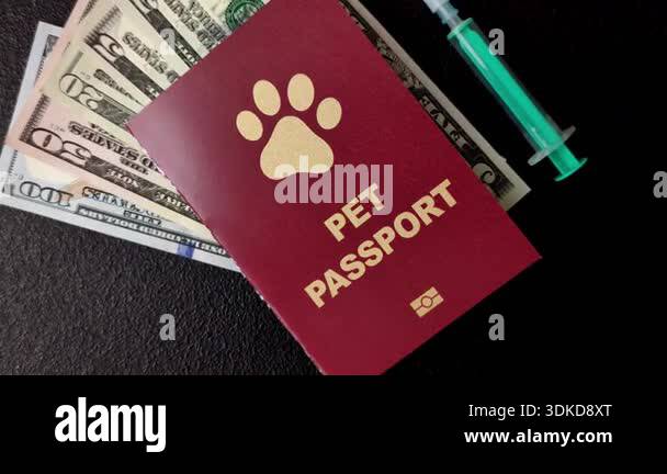 A pet passport is a document with vaccination and travel information ...