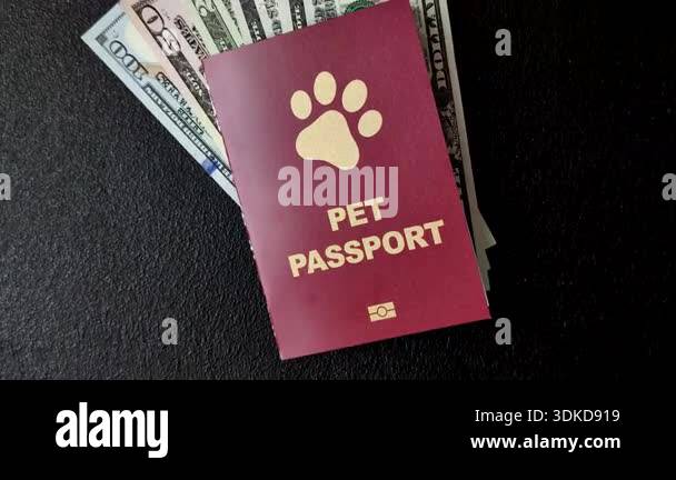 A pet passport is a document with vaccination and travel information ...