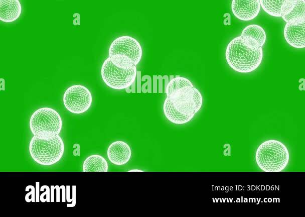 Falling white golf balls motion graphics with green screen background ...