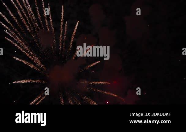 Video captures a brilliant golden firework exploding in the night sky ...