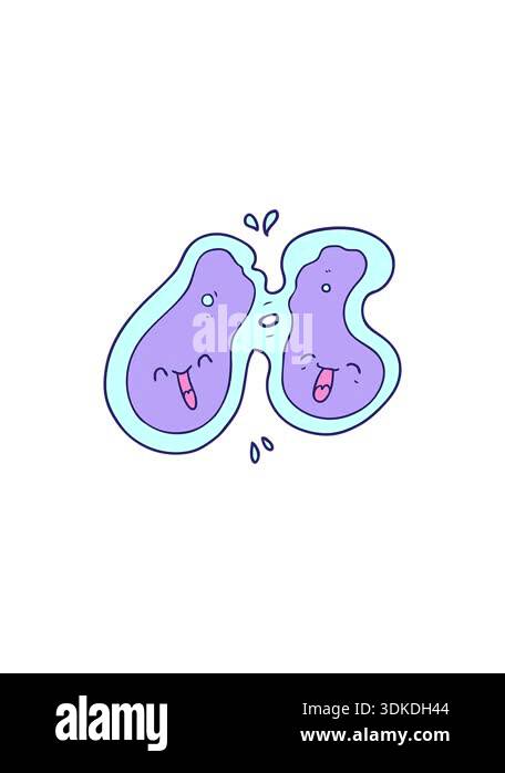 sales flash animation of cartoon cell dividing Stock Video Footage - Alamy