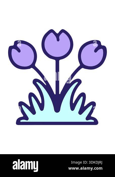 shine light effect animation of flower drawing design Stock Video ...