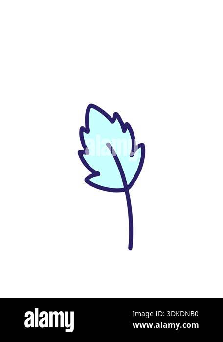 jumping motion animation of simple leaf cartoon Stock Video Footage - Alamy