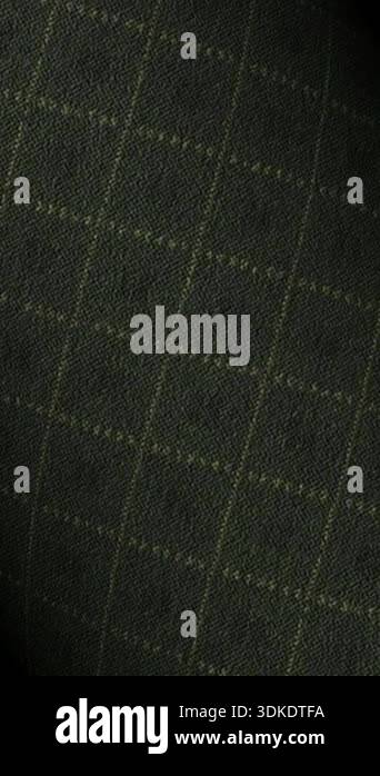 Forest Green Plush Carpet Texture Roll With Consistent Rotation on ...