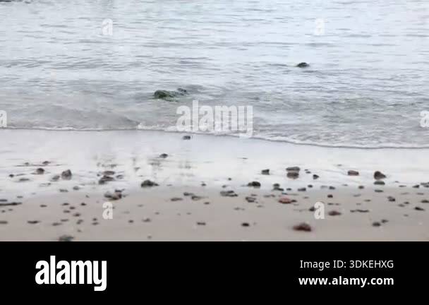 Beautiful wavy sea and sandy beach outdoors Stock Video Footage - Alamy