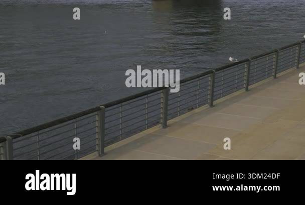 Riverside railing Stock Videos & Footage - HD and 4K Video Clips - Alamy