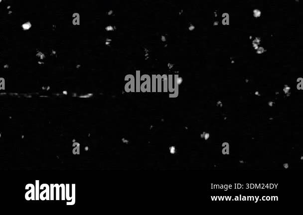 Film grain noise animation with dust particle for overlay. Analog ...