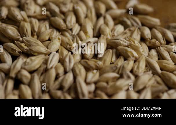 Burnt husk Stock Videos & Footage - HD and 4K Video Clips - Alamy