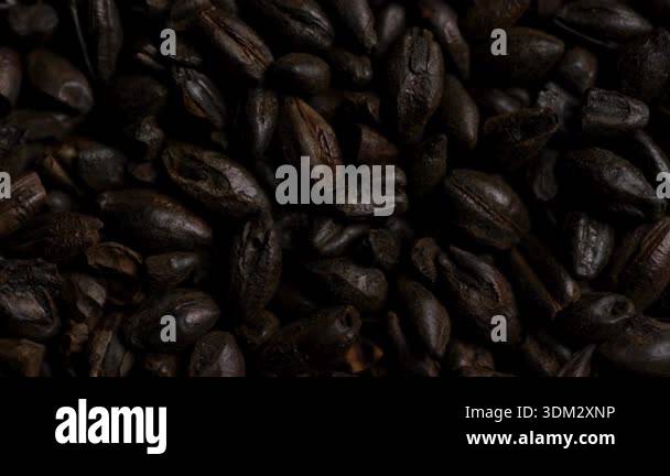 Dark roasted black barley malt grains for stout or porter beer brewing ...