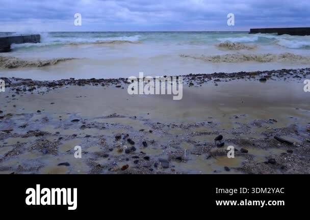 Pollution of nature and sand with vegetable oil on the beaches of ...