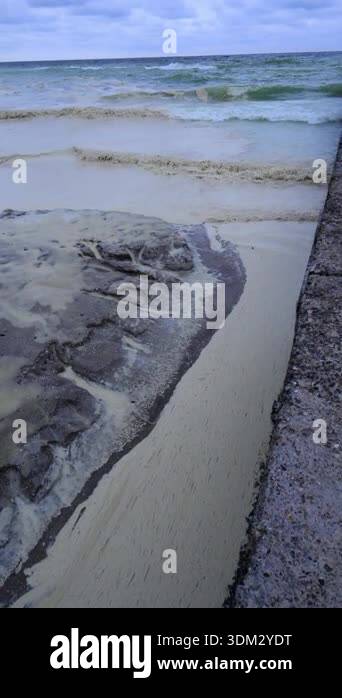 Pollution of sand with vegetable oil on the beaches of Odesa, an ...