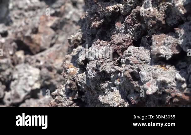 Porous surface texture rough gray Stock Videos & Footage - HD and 4K ...