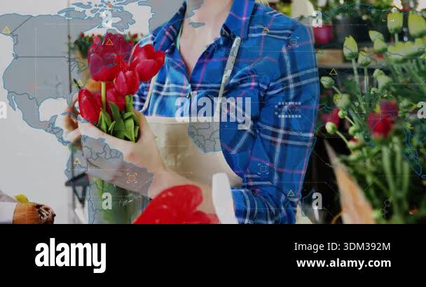 Florist lifting red tulip stems, arranging bouquet in shop as digital ...