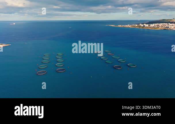 Drone view of tuna rings. Tuna fish farm in the sea. Mediterranean sea ...