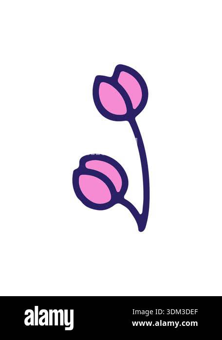 popping motion animation of simple tulip flower illustration Stock ...