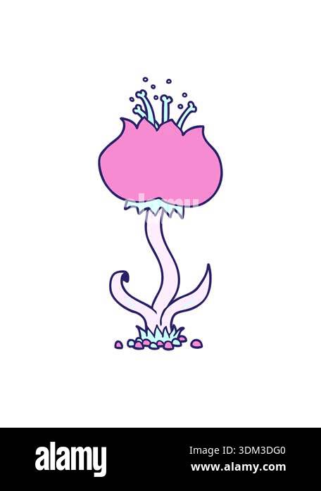 jiggle and pause animation of cartoon exotic flower Stock Video Footage ...