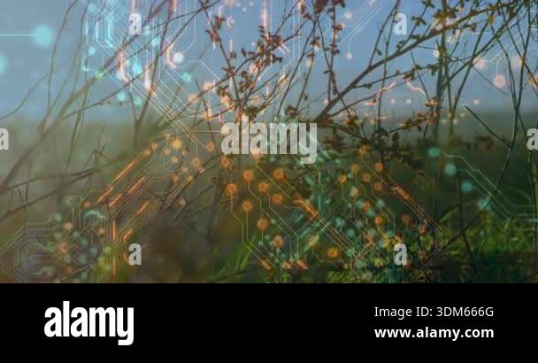 Faint orange circuit lines appearing over shrub, spreading and glowing ...