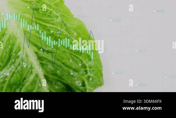 Leaf appearing with candlesticks growing, dipping and line graph ...
