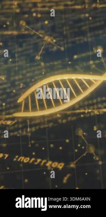 DNA strands and mathematical equations animation over scientific grid ...