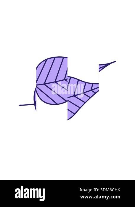splitting motion animation of flat color retro cartoon of a green leaf ...
