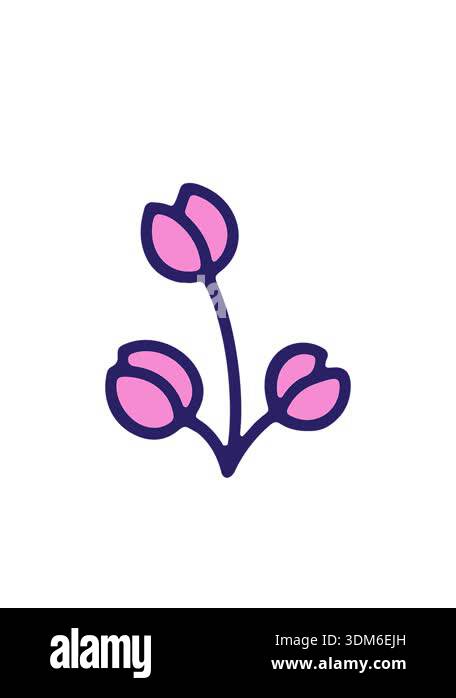 blinking radial lines animation of tulip flower illustration Stock ...
