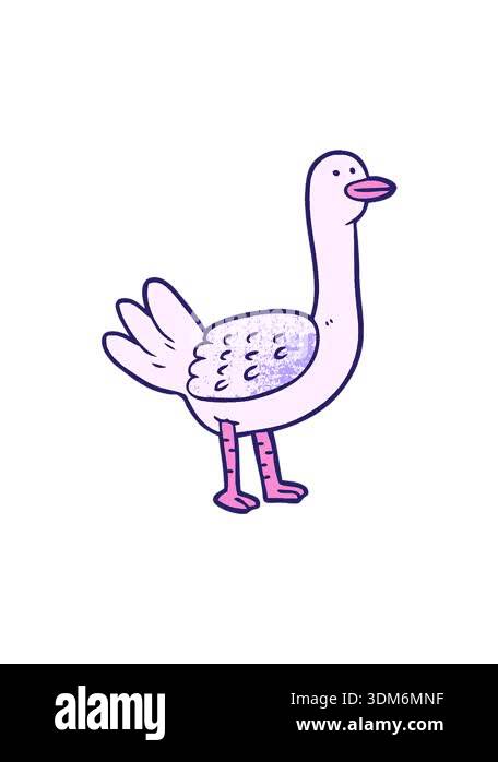 spinning motion animation of cartoon of bright color bird Stock Video ...