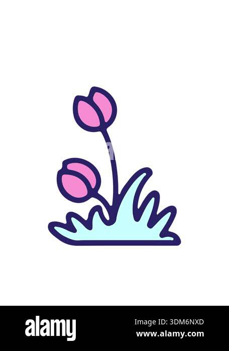 blinking radial lines animation of cute tulip flower design Stock Video ...