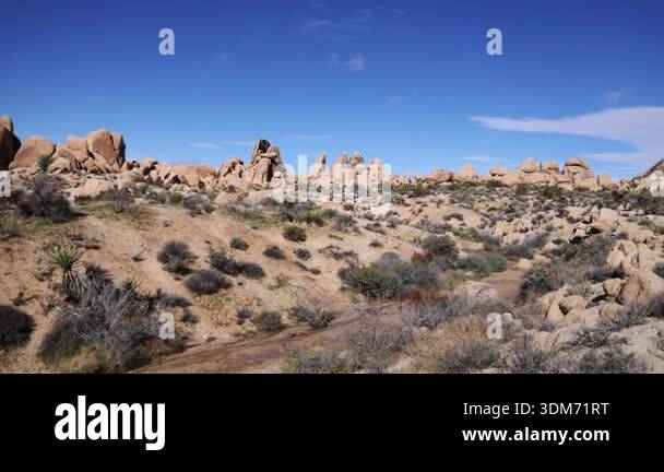 Cinematic Pan of Joshua Tree National Park Landscape with Boulders and ...