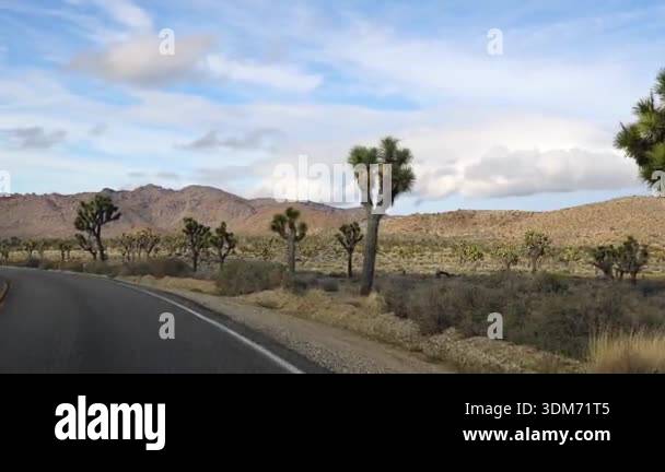 Breathtaking Cinematic Drive Through Joshua Tree National Park Desert ...