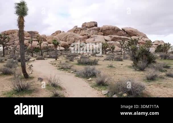 Panoramic View of Joshua Tree National Park Desert Landscape and Hiking ...