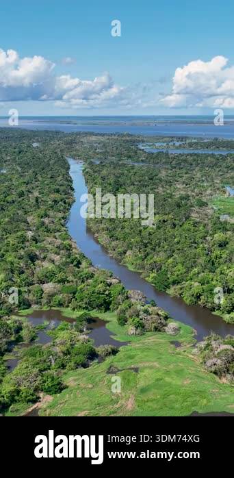 Amazon River at Amazon Forest. The famous tropical forest of world ...