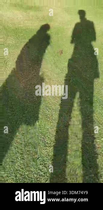 Vertical handheld sot video showing the shadows of a couple walking on ...