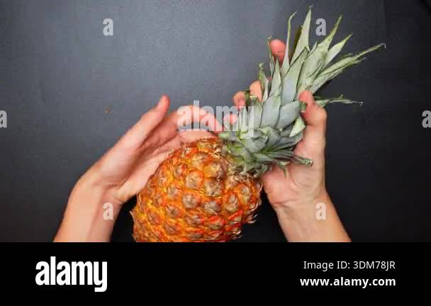Person twisting a pineapple to prepare it for cutting in a dark setting ...