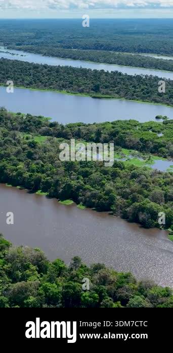 Pannning wide landscape of Amazon River at Amazon Forest in 5K ...