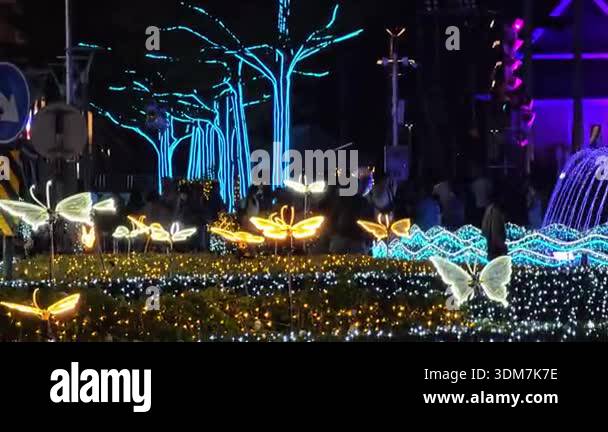 Decorative trees neon lights line Stock Videos & Footage - HD and 4K ...