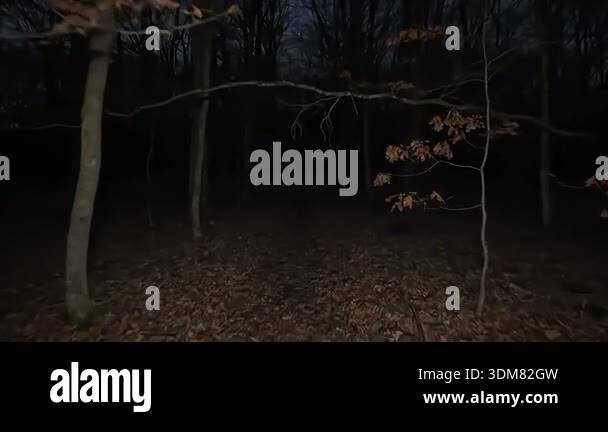 A slow, dark walk through a dense forest at night. Leaves and branches ...