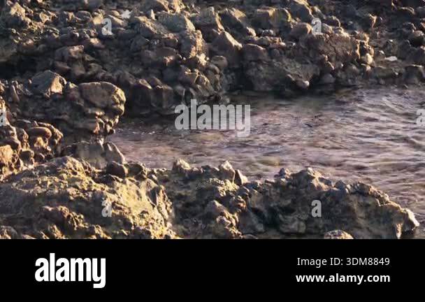 Sunlight glimmers on shallow tidal pools nestled among rugged coastal ...